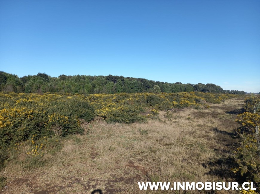 Parcelas industriales a la venta en Ruta 5 Sur, altura Shell, Puerto ...
