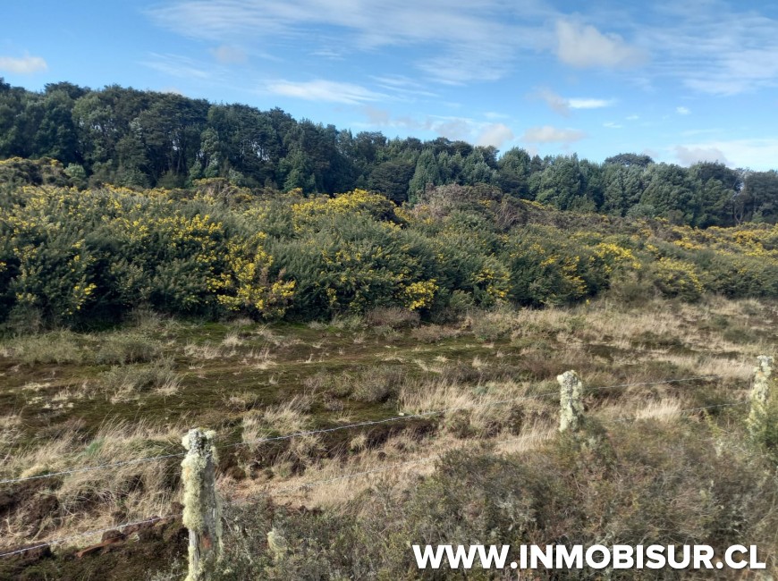 Parcelas industriales a la venta en Ruta 5 Sur, altura Shell, Puerto ...